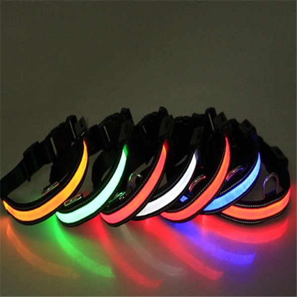 Light Up Your Pup's Summer with a Solar-Powered Fluorescent Dog Collar ...