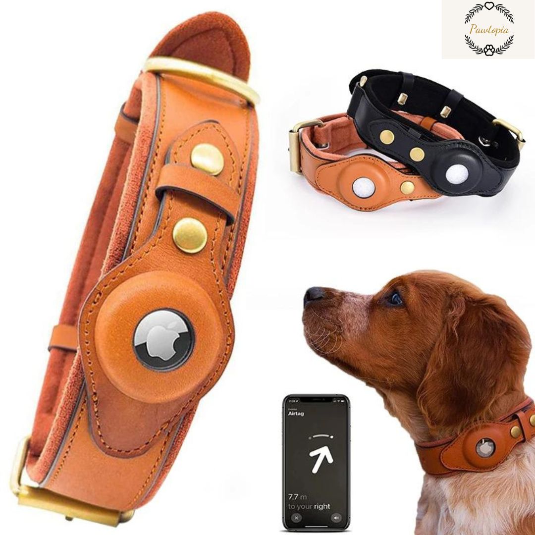 The Best Leather Apple AirTag Collar - Pup Tracking Anywhere - No ...