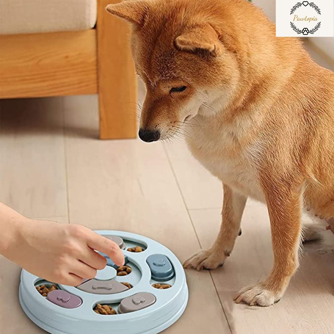 The Ultimate Dog Brain Game - Extremely Stimulating Stress Reliever ...